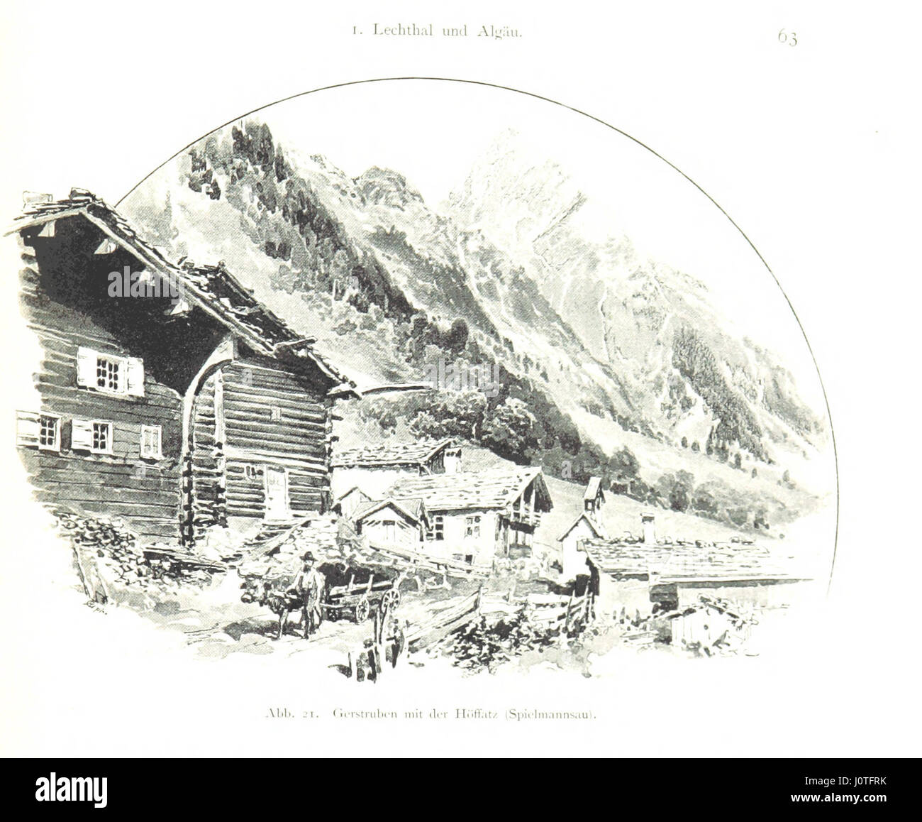 'Aus den Alpen' is a beautifully illustrated work that offers a glimpse ...