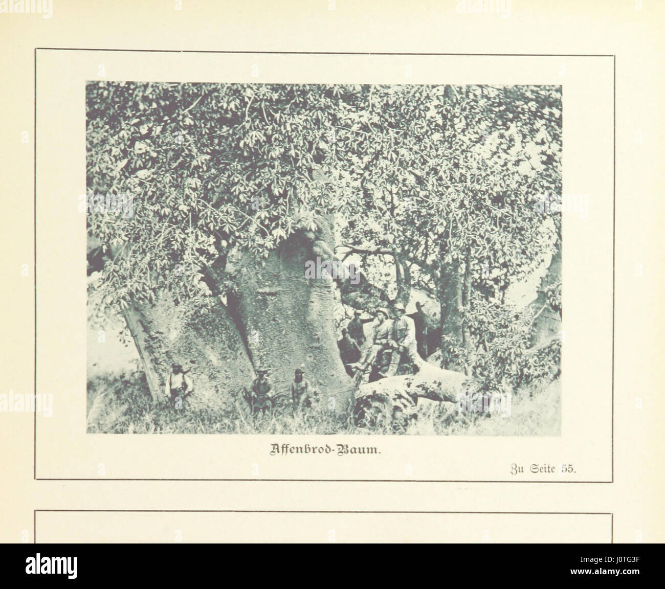 A detailed account of the Nama and Damara people in German South-West ...