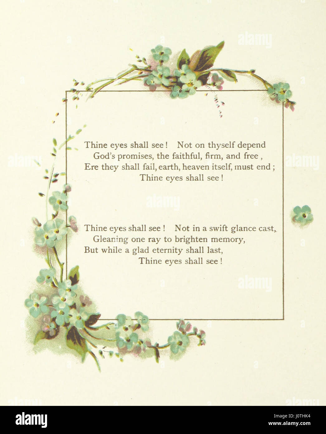 'Forget Me Nots of Promise' compiles inspirational scripture texts and ...
