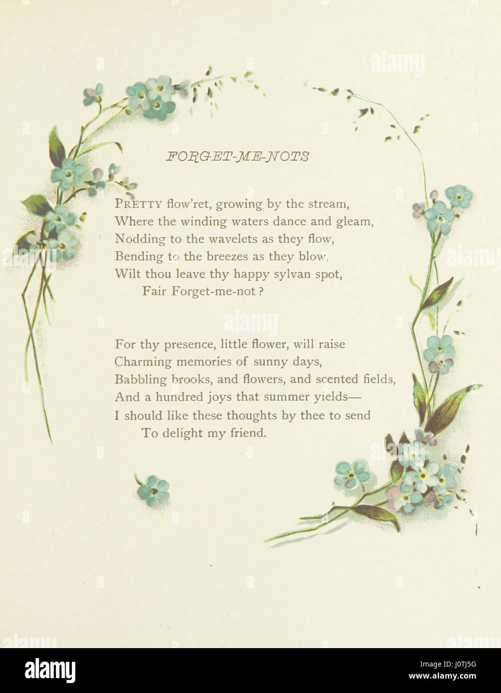 'Forget-Me-Nots' is a collection of verses exploring themes of memory ...