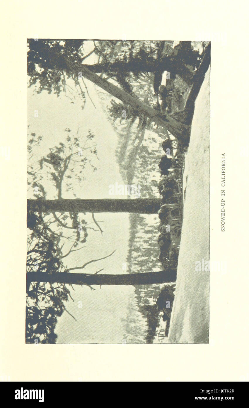 'The Land of the Muskeg' offers a detailed exploration of Canada's ...