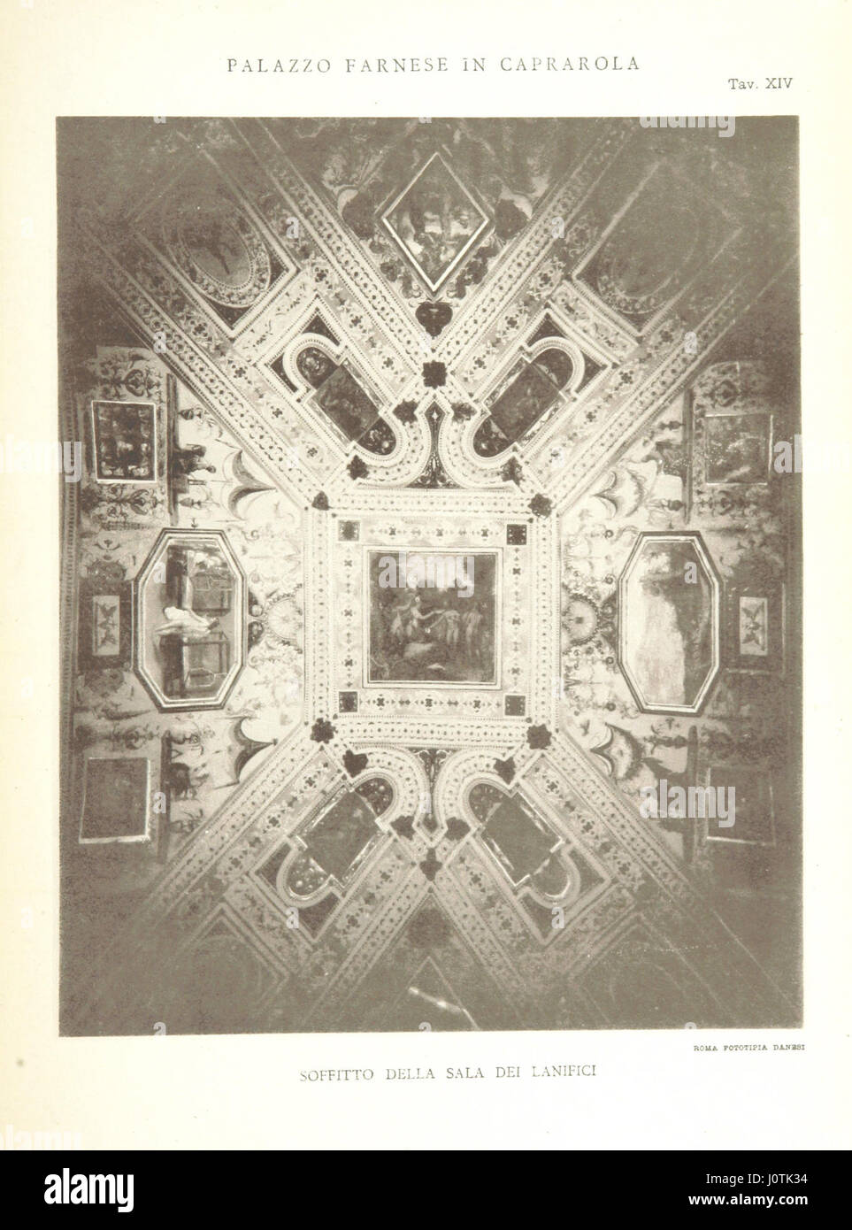 This work provides an architectural study of the Palazzo Farnese ...
