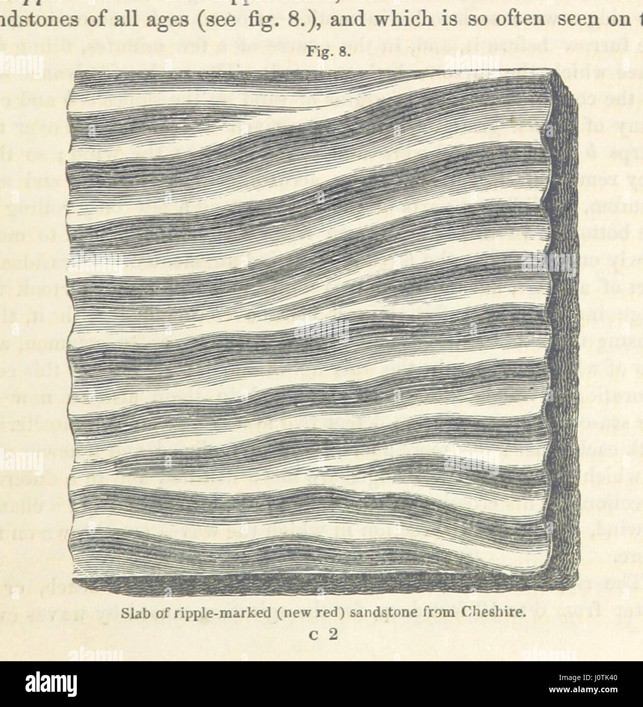 This revised edition of a comprehensive manual on elementary geology ...