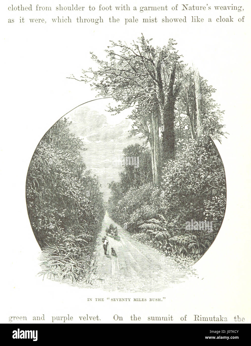 This illustrated guide offers a pictorial exploration of New Zealand ...