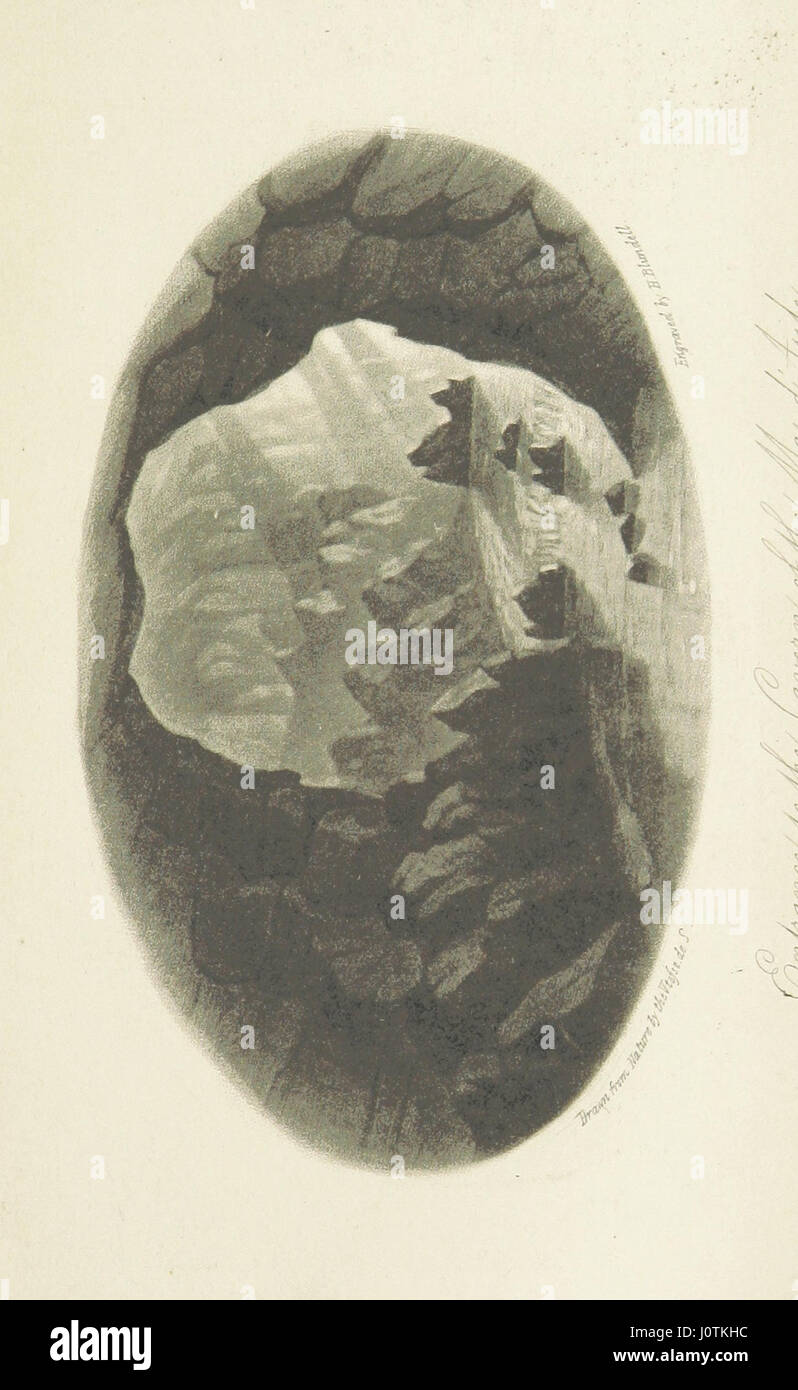 This collection features poems about the Huguenots, a Protestant group ...