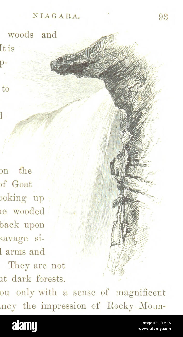 A reflective summer book, exploring themes of relaxation, leisure, and ...