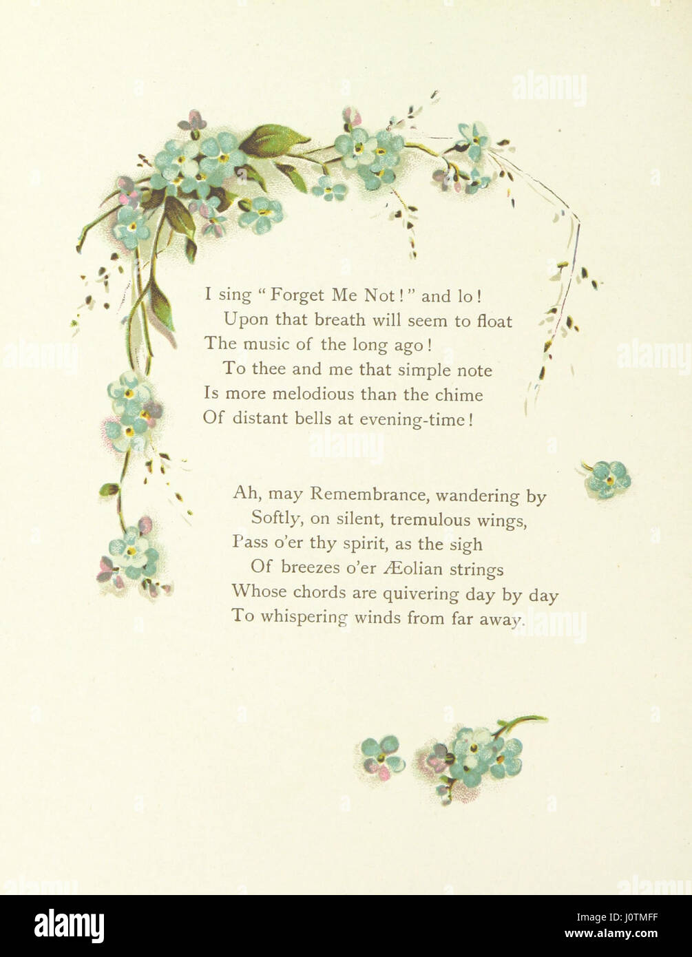 'Forget-Me-Nots' is a collection of poems, written in verse, reflecting ...