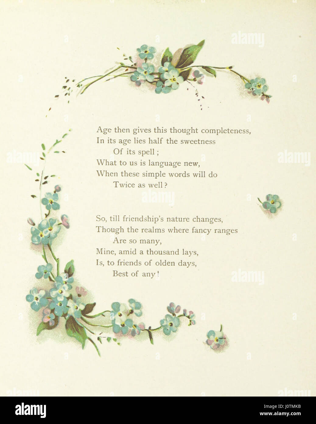 Forget Me Nots Drawing High Resolution Stock Photography and Images - Alamy