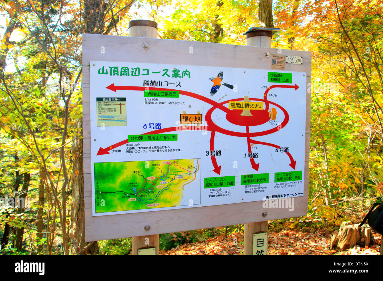 Takao Trails High Resolution Stock Photography and Images - Alamy