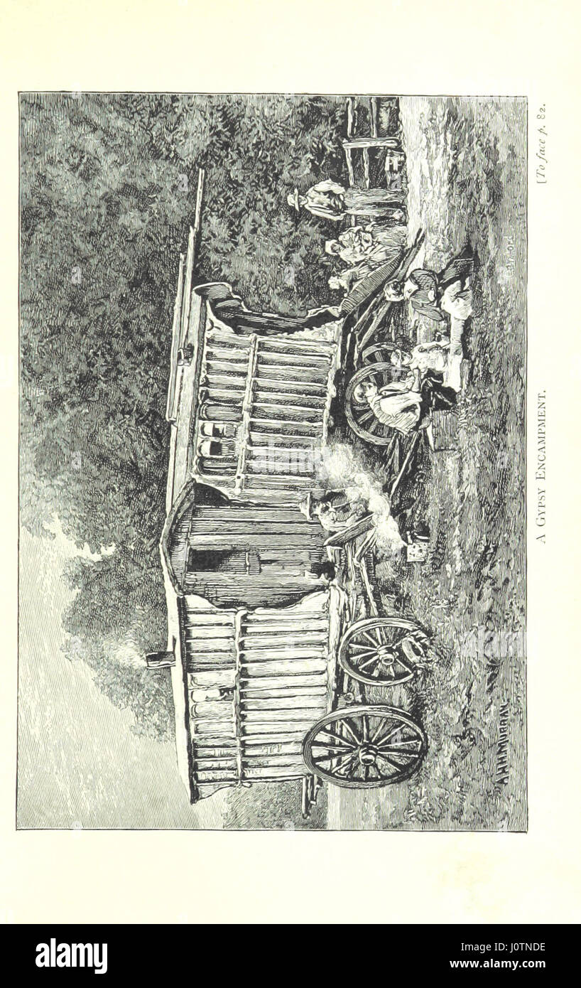 'The New Forest' explores the traditions, inhabitants, and customs of ...
