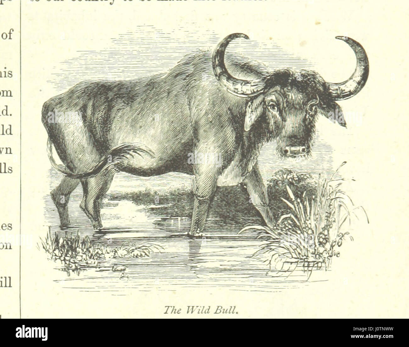'Pictorial Geography for Young Beginners' introduces children to the ...