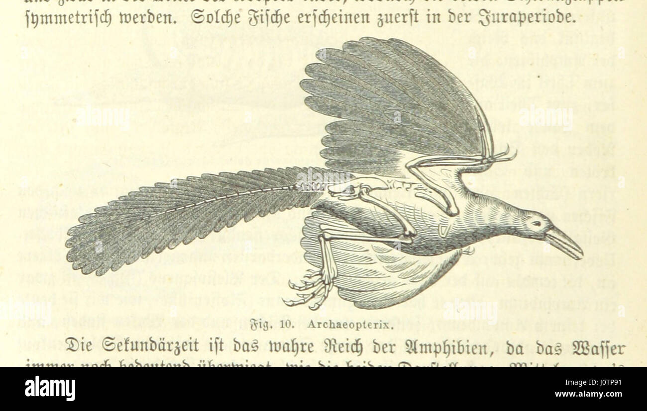 This image is from 'Der vorgeschichtliche Mensch,' a work that explores ...