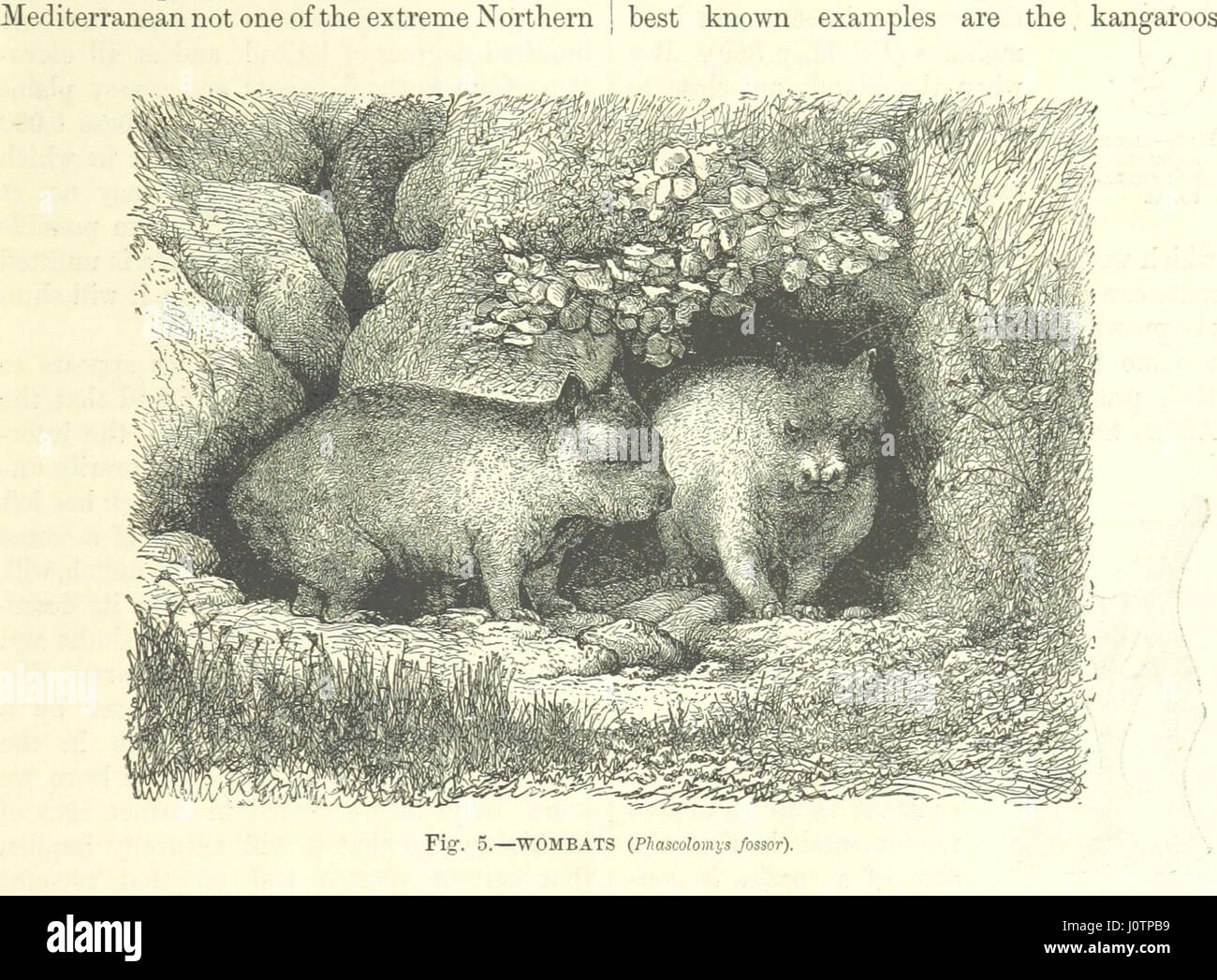 'Our Earth and its Story' is an accessible introduction to physical ...