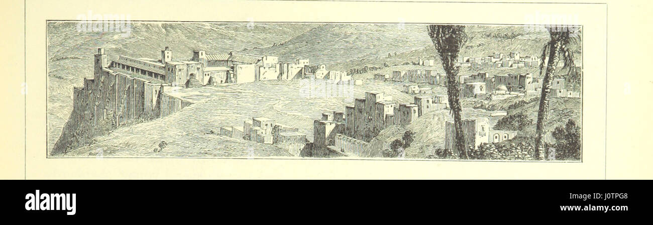 'Those Holy Fields' offers a visual representation of Palestine ...