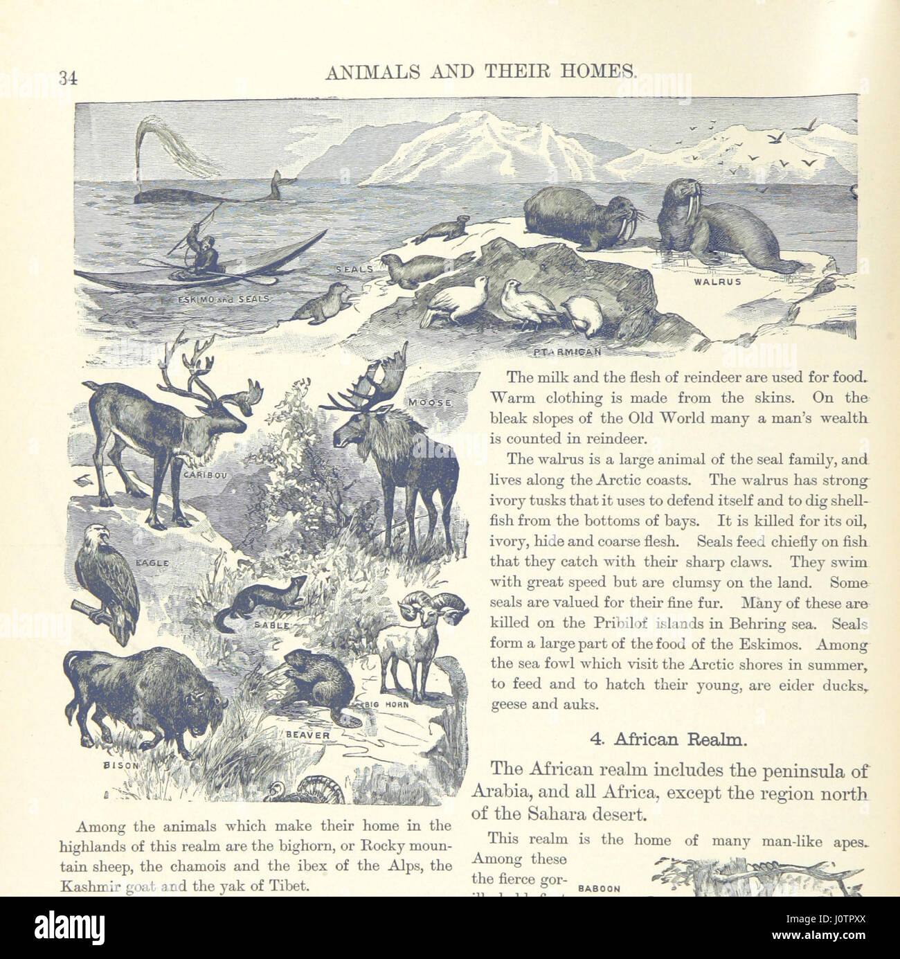 This image from the book 'New Canadian Geography' presents a detailed ...