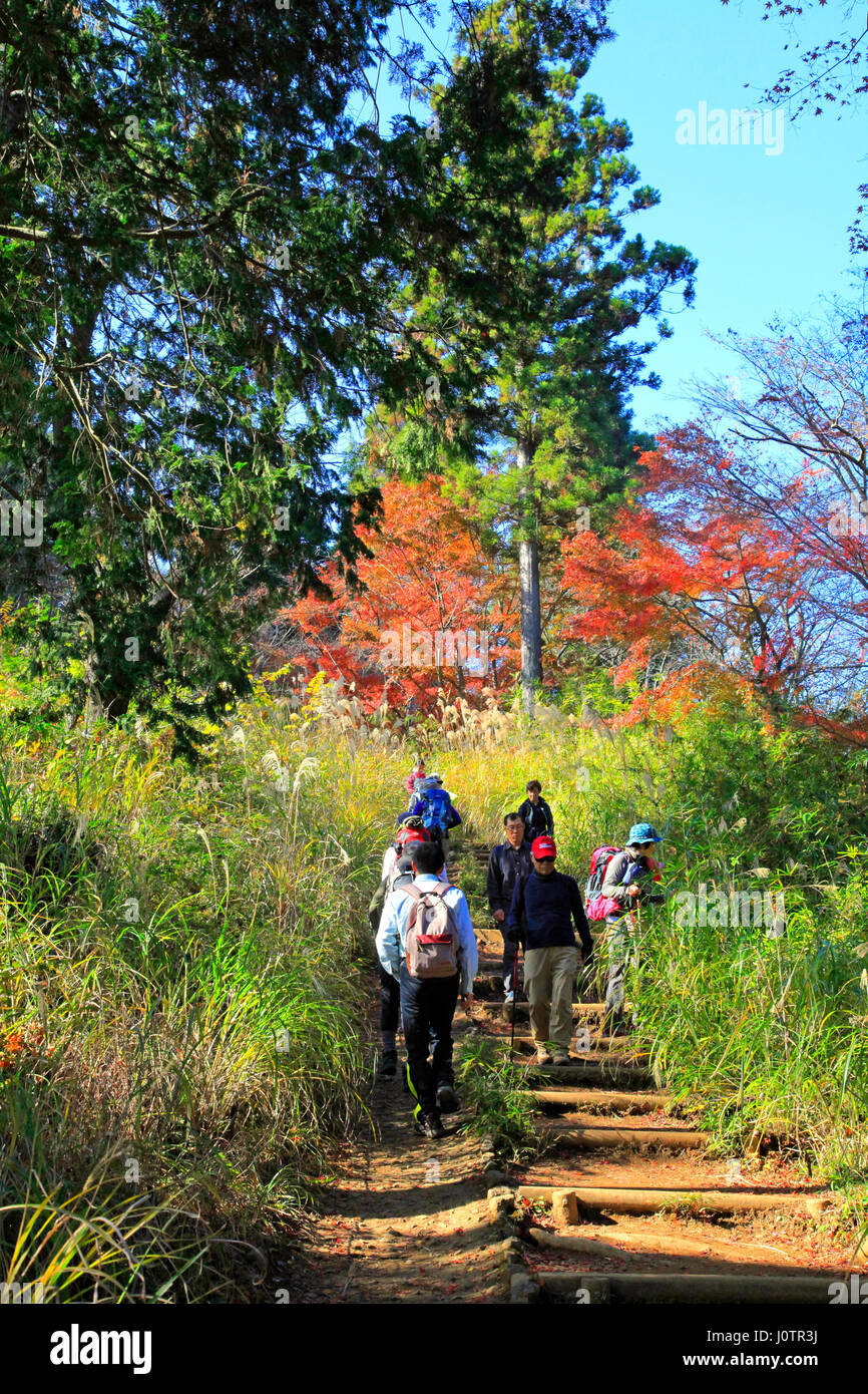 Mount Takao Trail Hachioji Tokyo Japan Stock Photo - Alamy