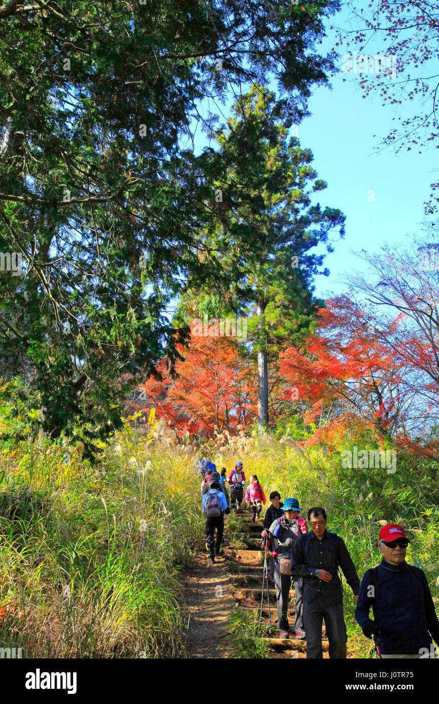 Takao trail hi-res stock photography and images - Alamy