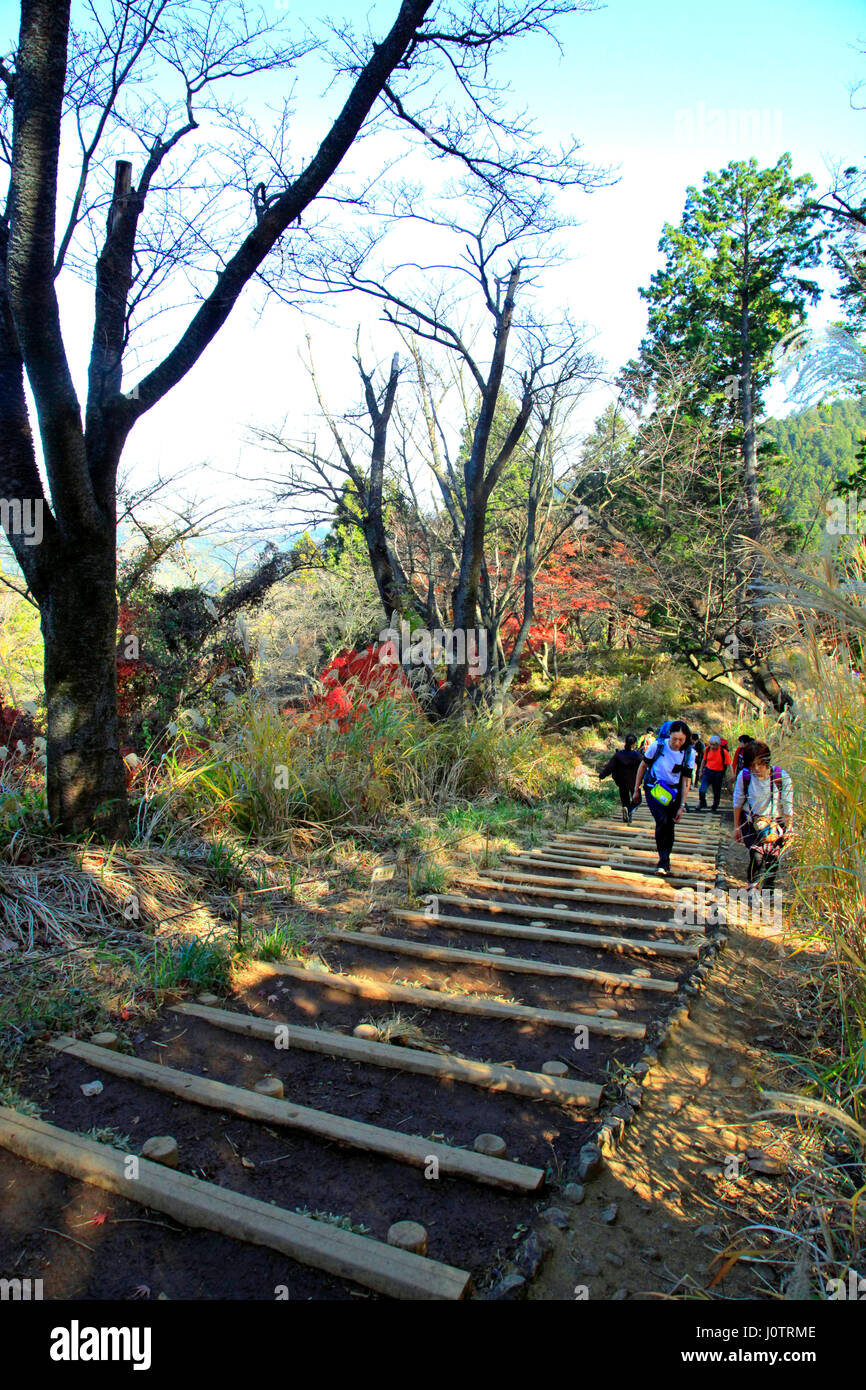 Mt takao trail hi-res stock photography and images - Alamy