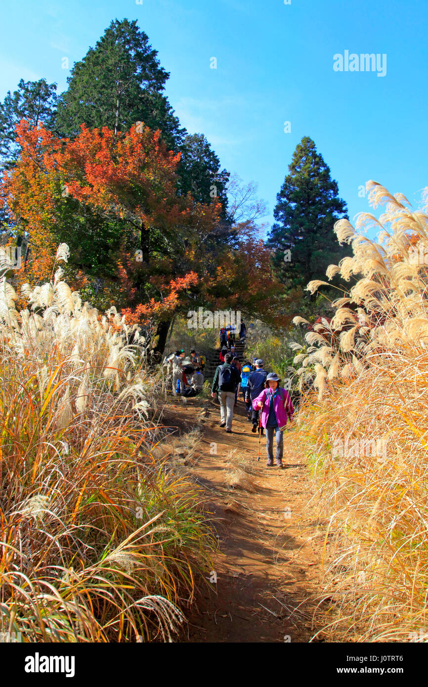 Mount Takao Trail Hachioji Tokyo Japan Stock Photo - Alamy