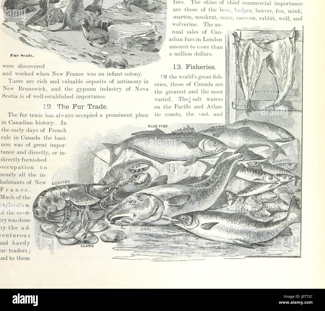 This image from 'New Canadian Geography' provides a visual ...
