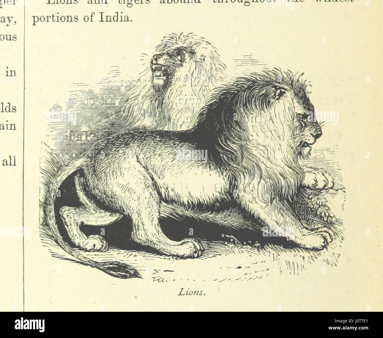 'Pictorial Geography for Young Beginners' introduces children to ...