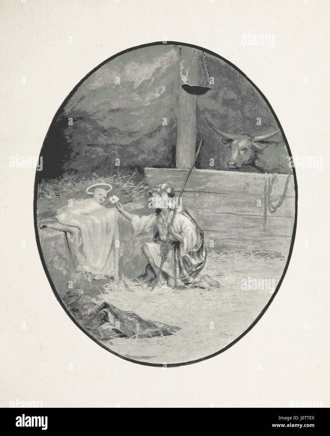 'The Legend of the Xmas Rose' is an illustrated book telling the story ...
