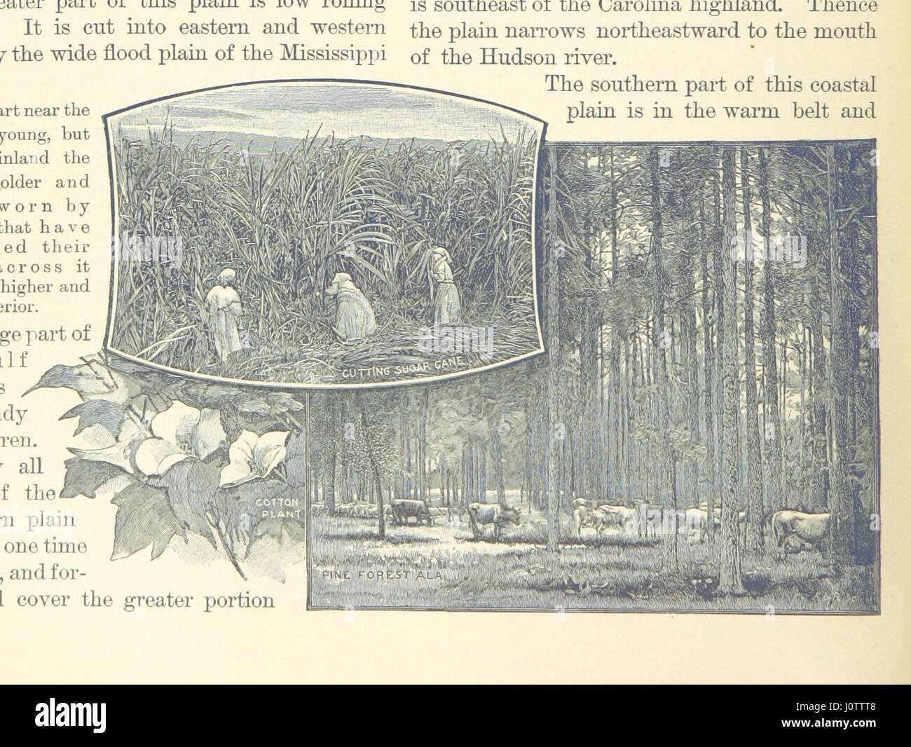 *New Canadian Geography* is a geography textbook designed for public ...