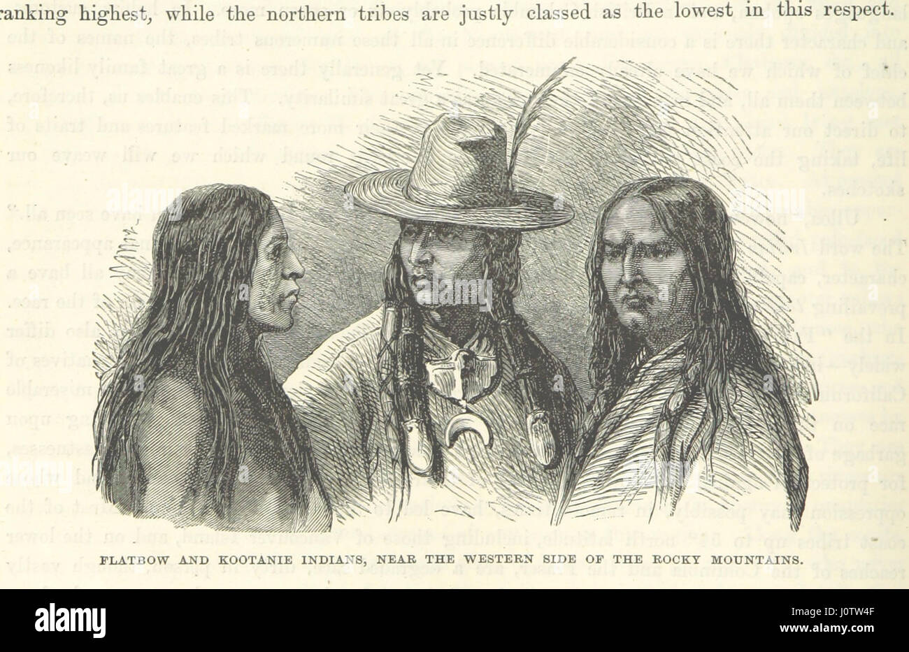 Principal varieties of mankind hi-res stock photography and images - Alamy