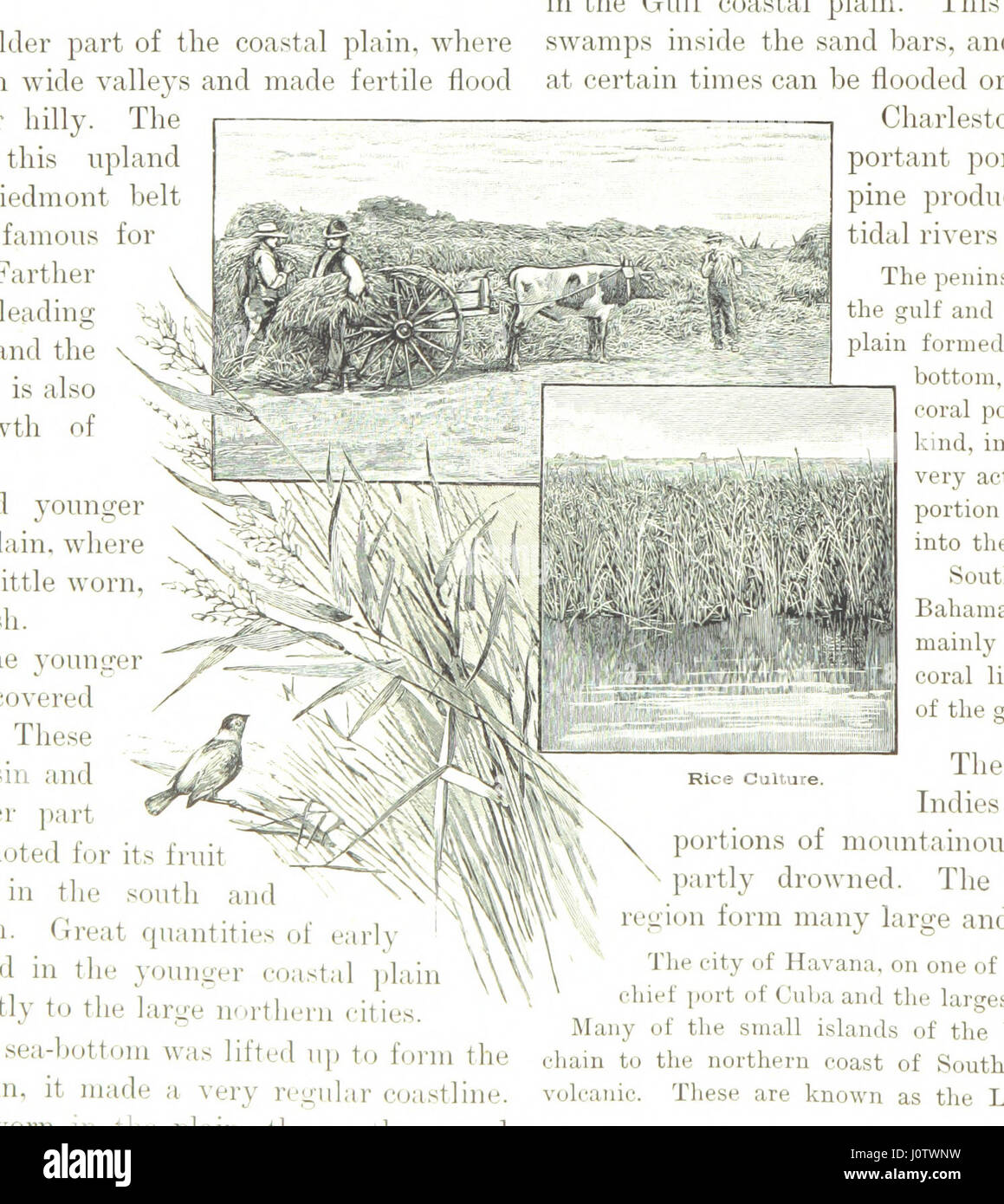 This textbook covers advanced topics in geography, including physical ...