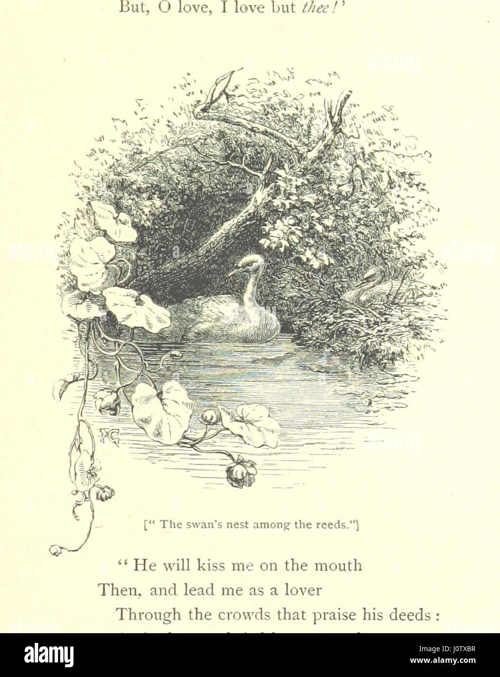 This collection offers a selection of notable English songs and poems ...