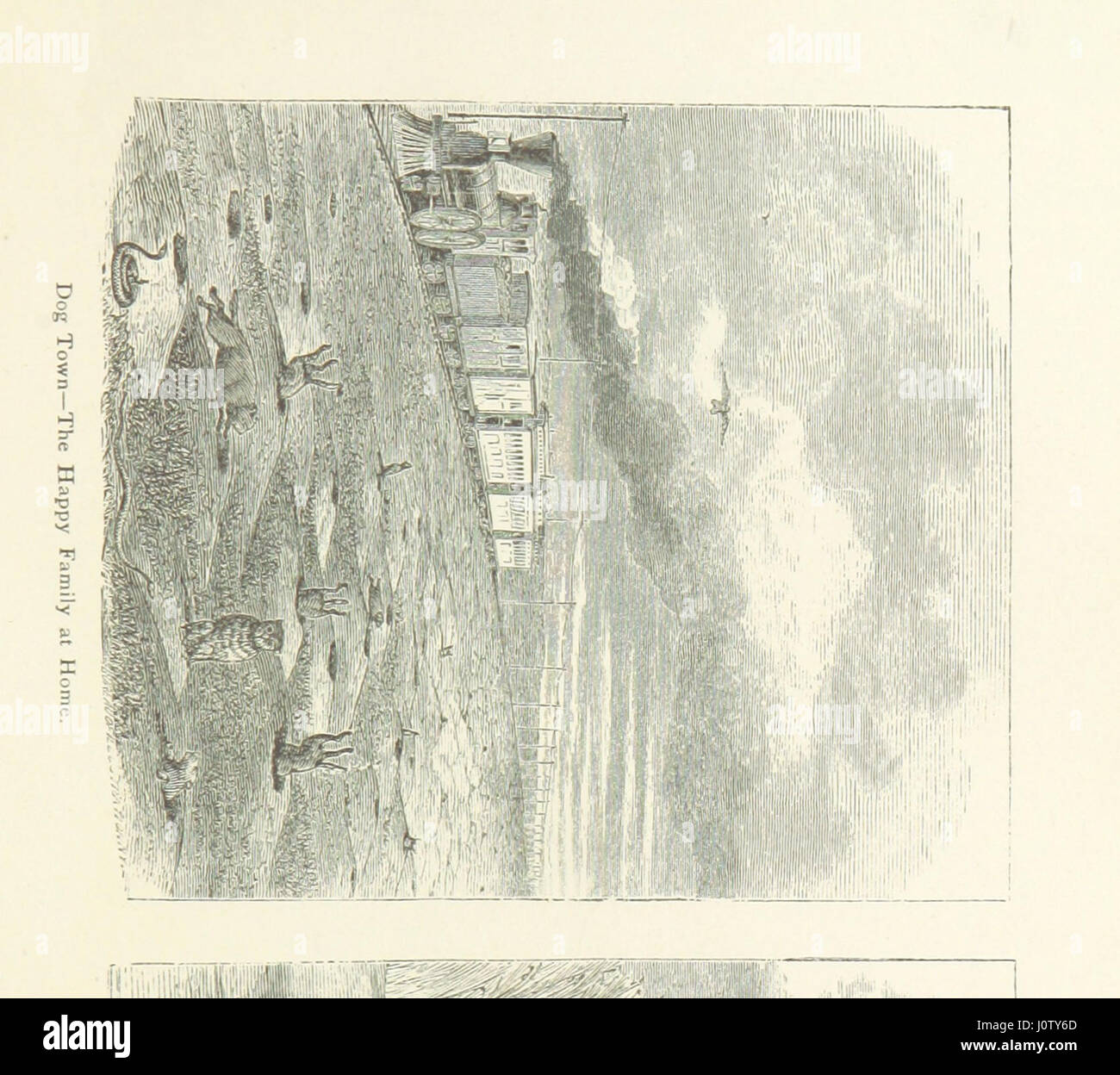 'Buffalo Land' provides an authentic account of the discoveries and ...