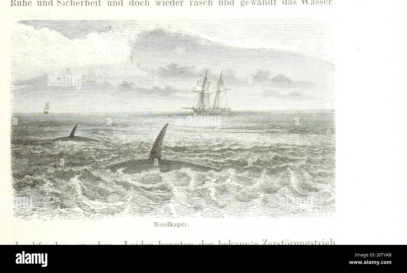 The second German North Polar Expedition (1869–1870), led by Captain ...