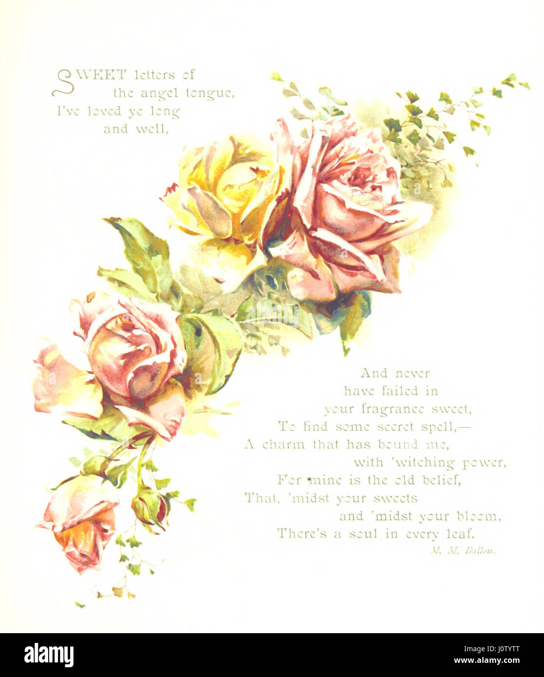 'Rose Leaves' is a poetic collection focused on the beauty and ...