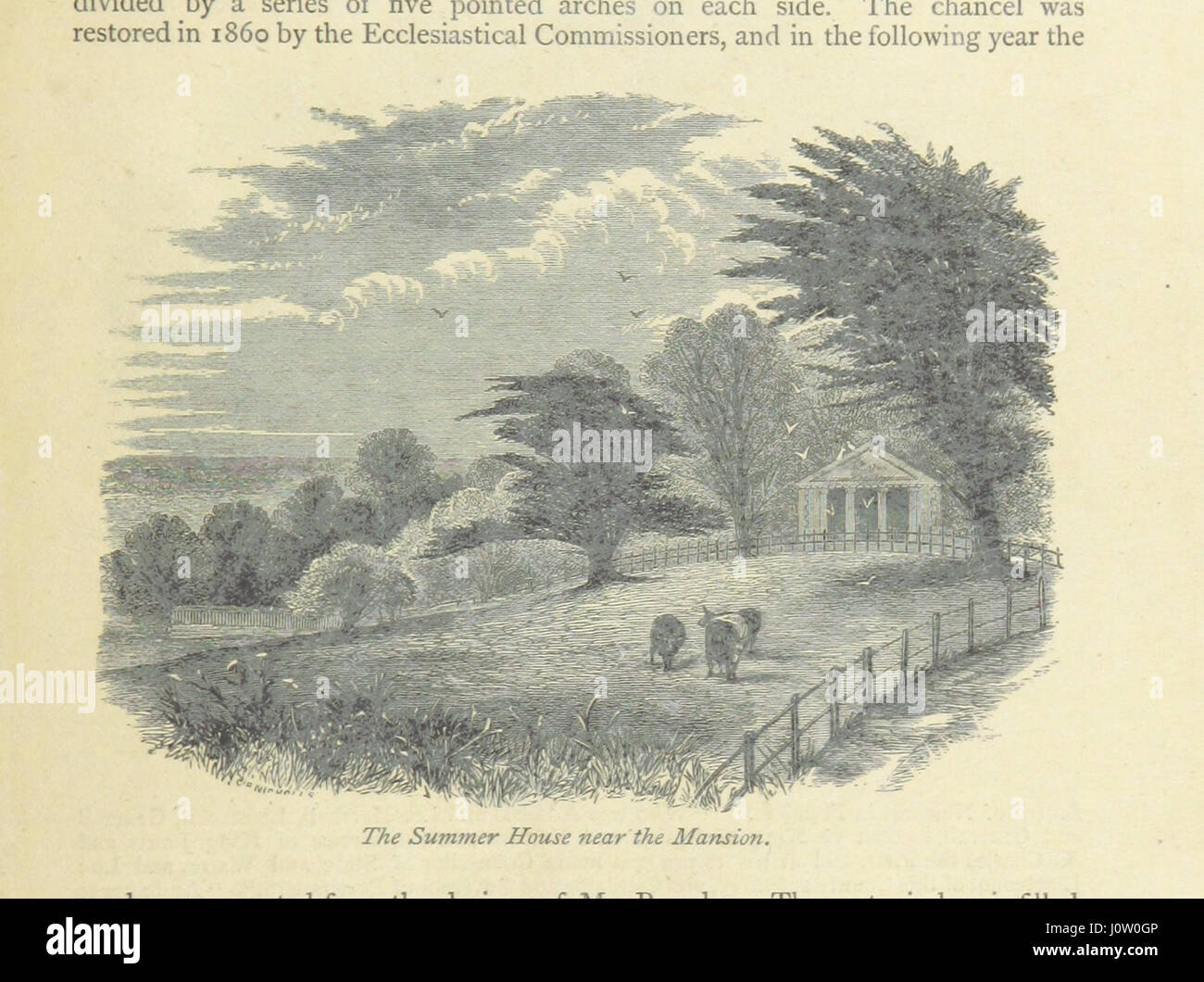 This image from *Wimbledon* offers an illustration of the Wimbledon ...