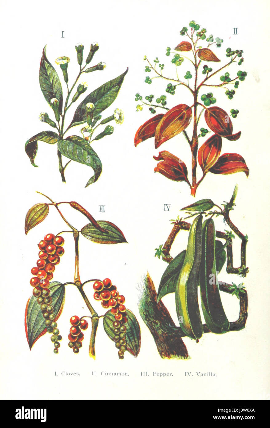 'Pitman's Commercial Geography of the World' explores the global ...