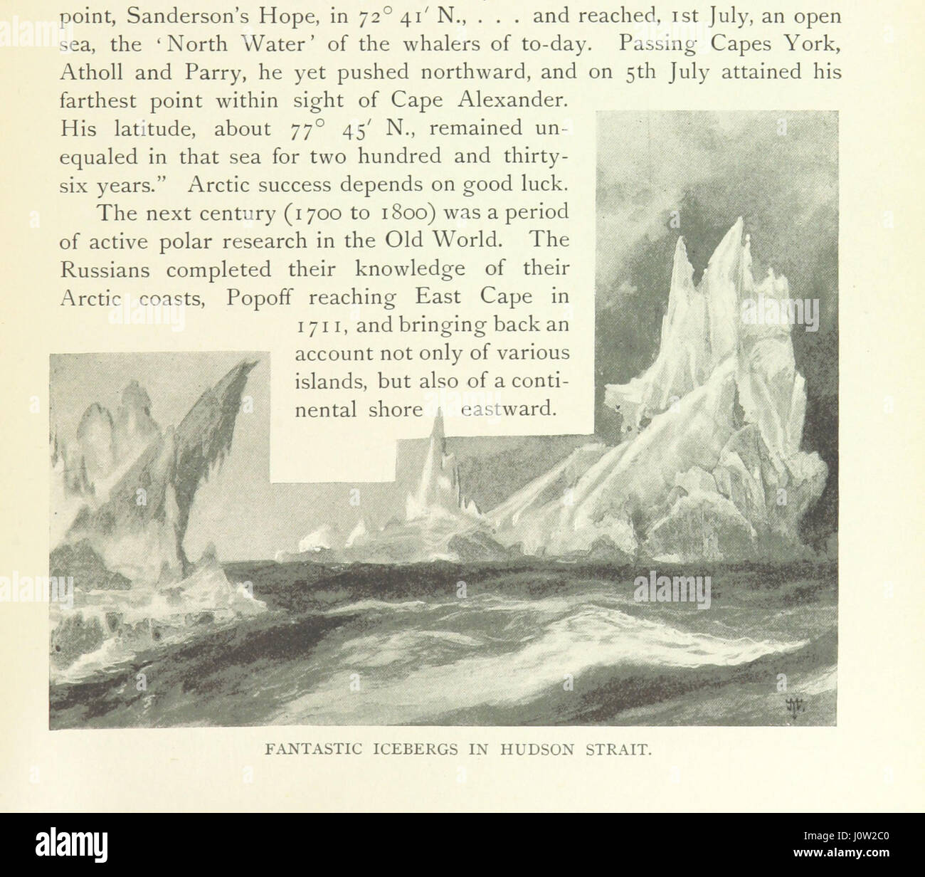 'The Book of the Ocean' is an illustrated exploration of ocean life and ...