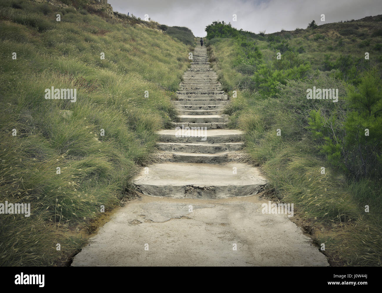 Countryside step plant hi-res stock photography and images - Alamy
