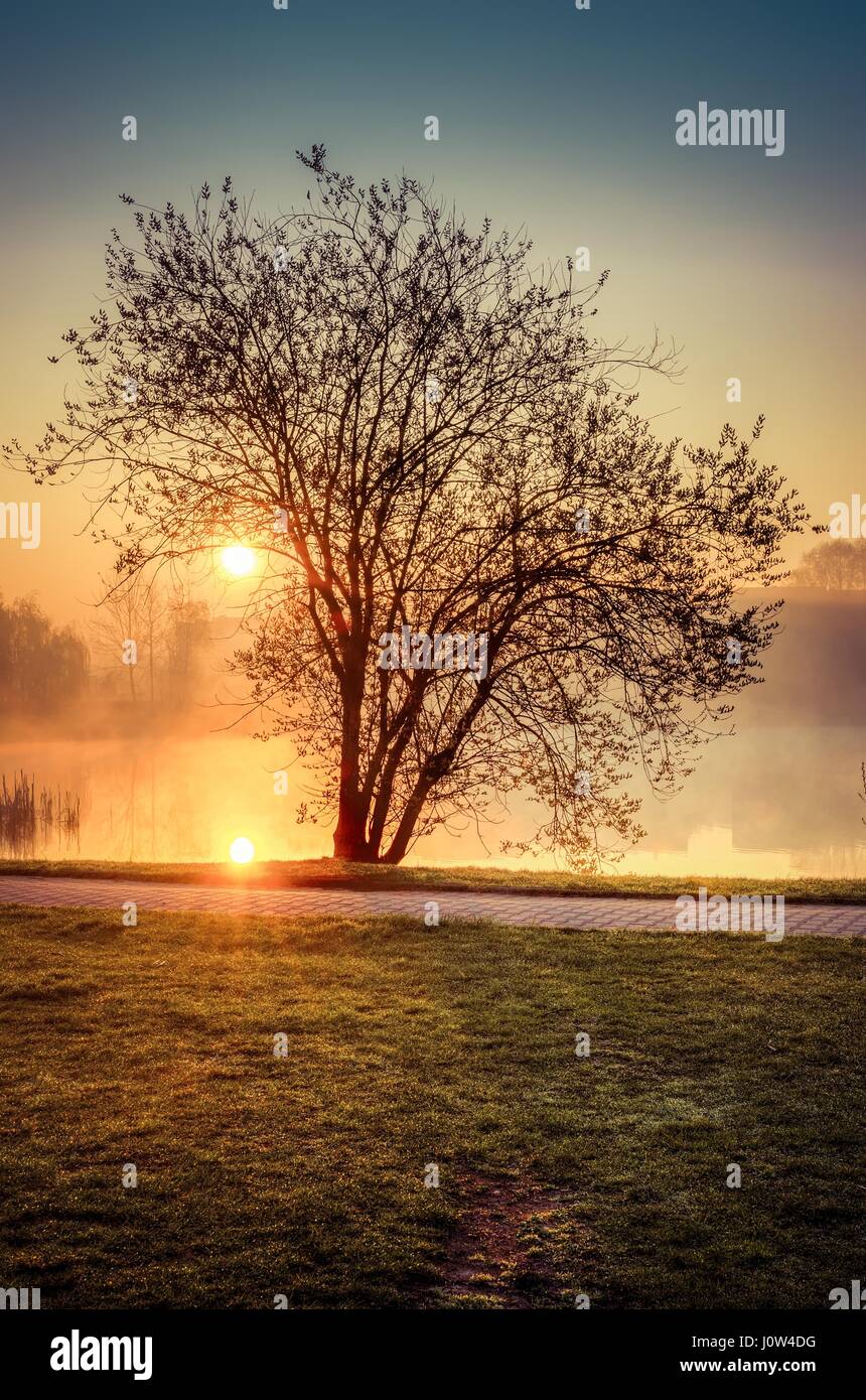 Sun in sky over park hi-res stock photography and images - Alamy