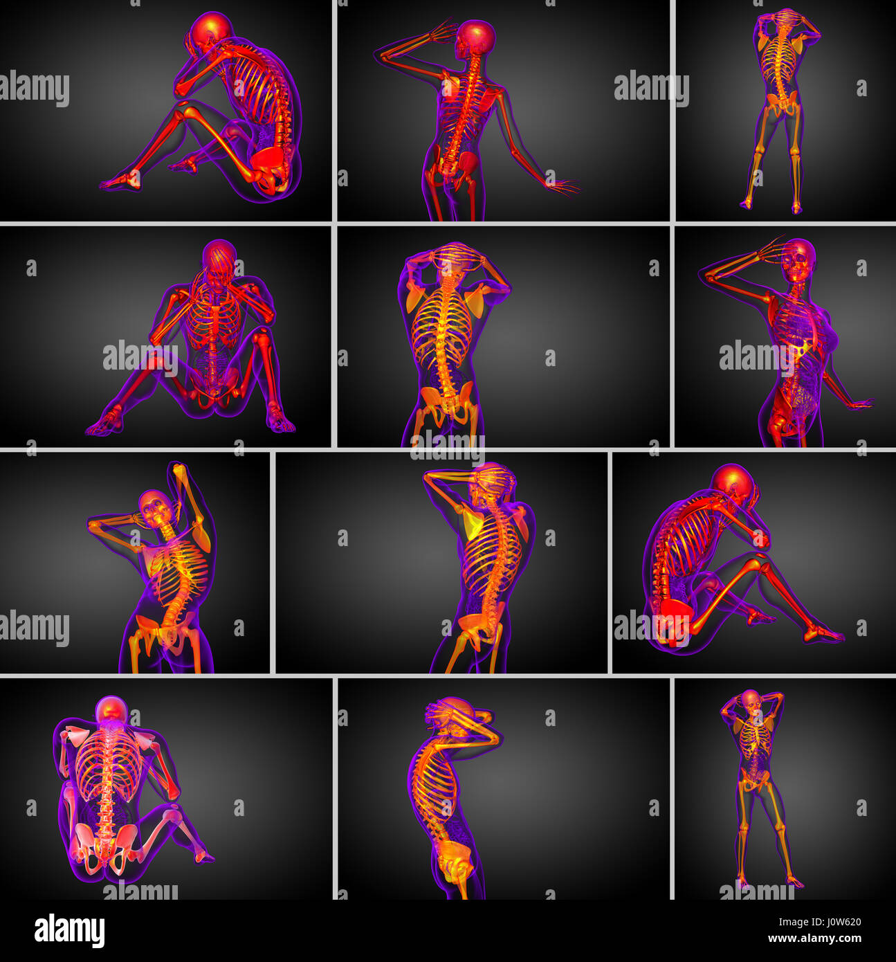 3d rendering medical illustration of the skeleton bone Stock Photo - Alamy