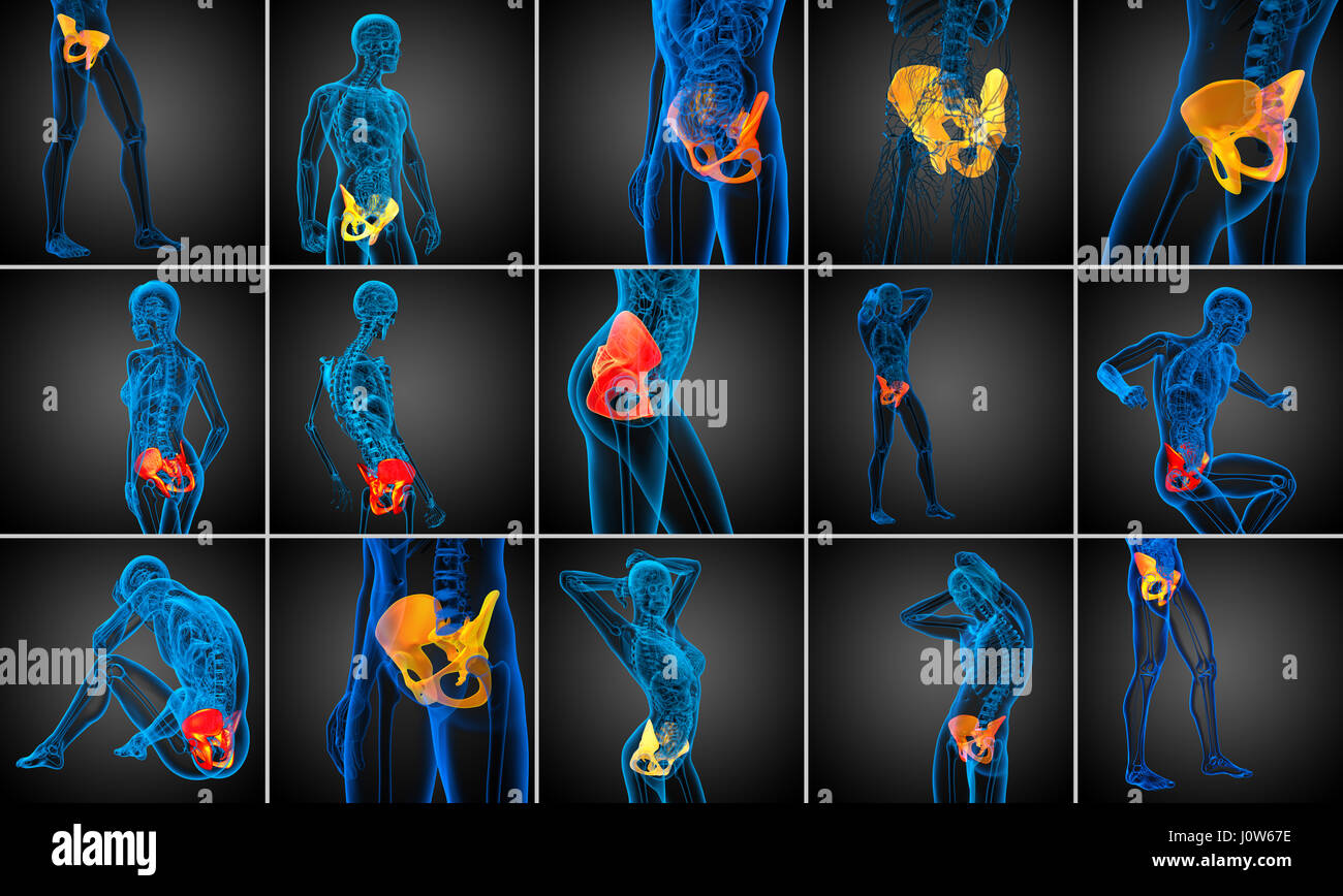 3d rendering medical illustration of the pelvis bone Stock Photo - Alamy