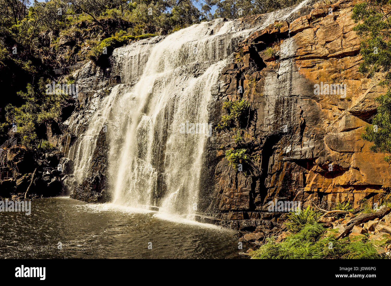 Waterfall Mackenzie is the most famous waterfall of the Park Grampians ...