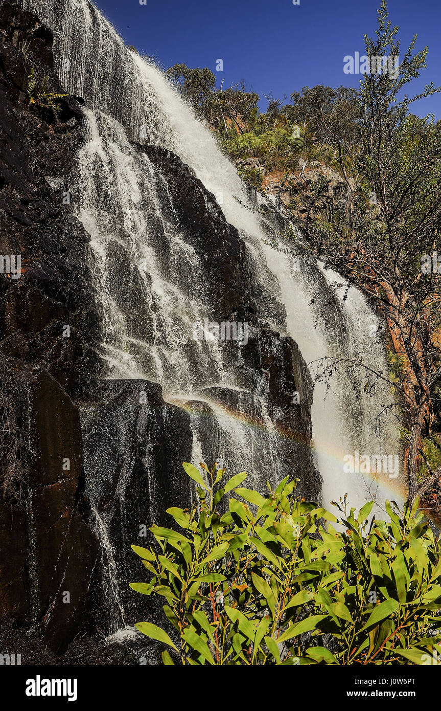 Waterfall Mackenzie is the most famous waterfall of the Park Grampians ...