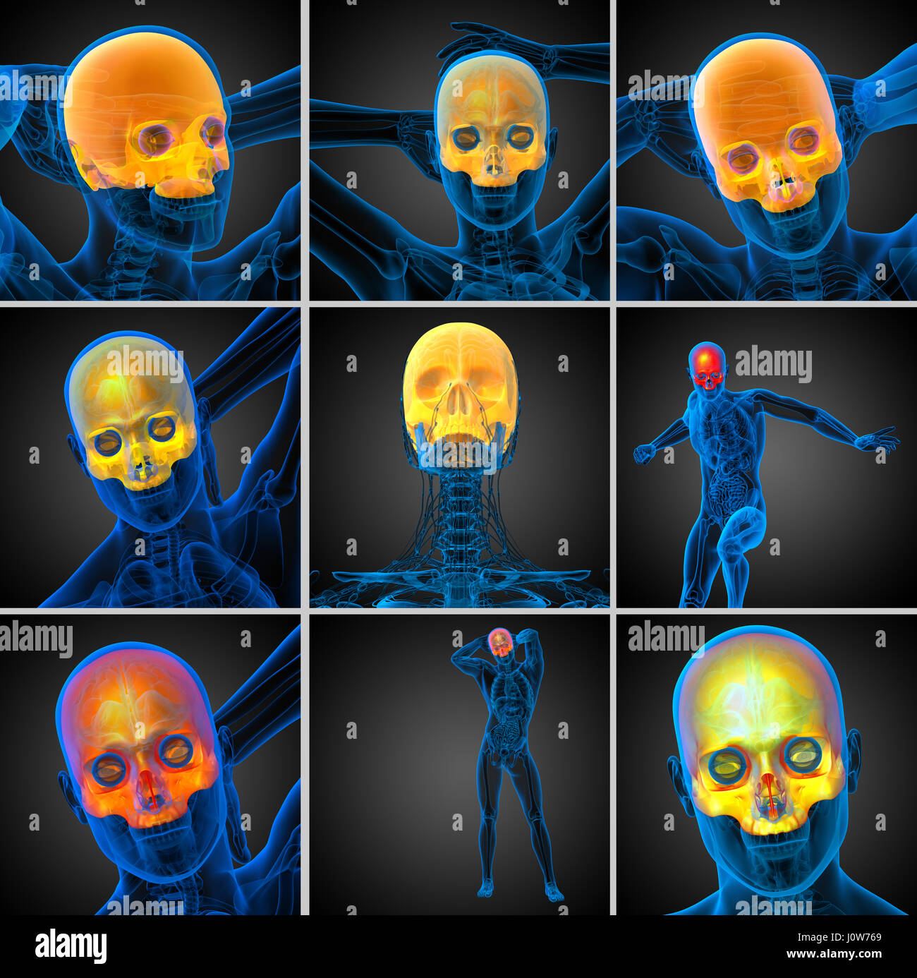 3d rendering medical illustration of the upper skull Stock Photo - Alamy
