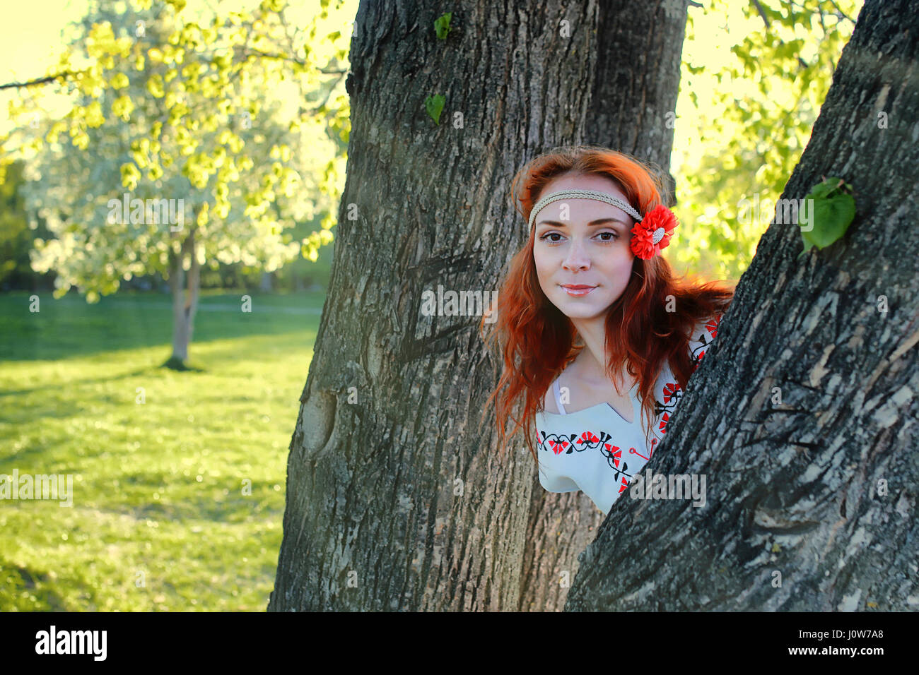 Girl in the spring walks through the apple alley in the evening Stock ...