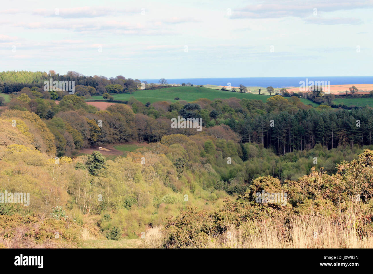 Devon country side Stock Photo - Alamy