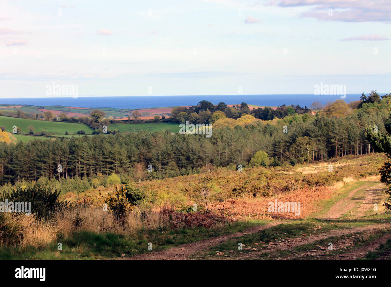 Devon country side Stock Photo - Alamy