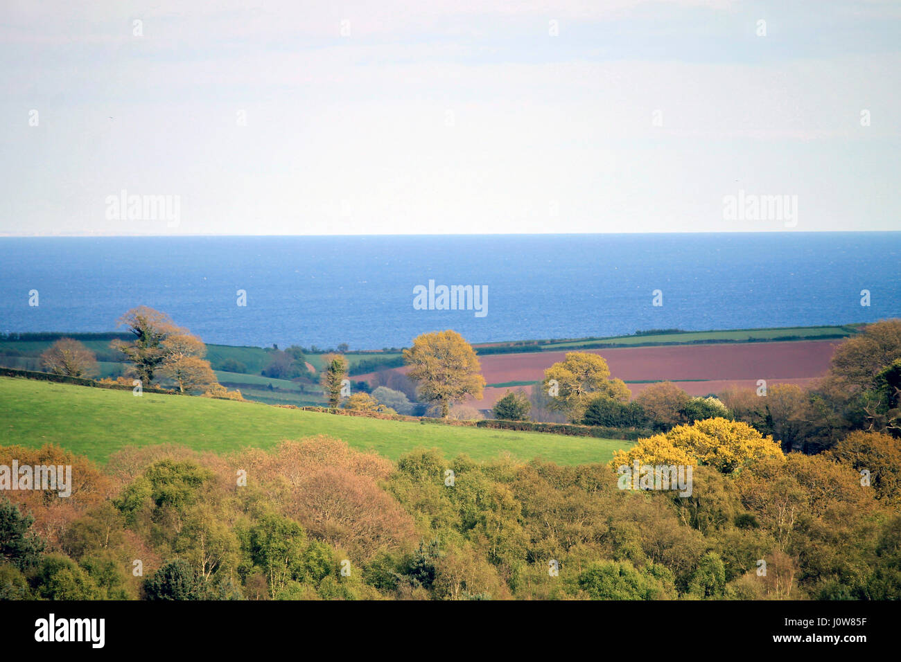 Devon country side Stock Photo - Alamy