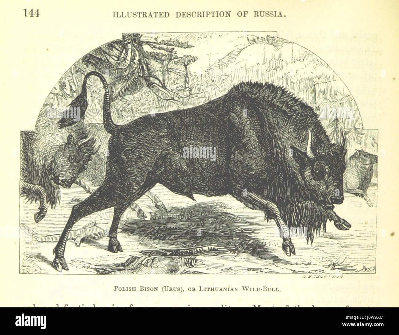 This book provides a detailed overview of the Russian Empire, including ...