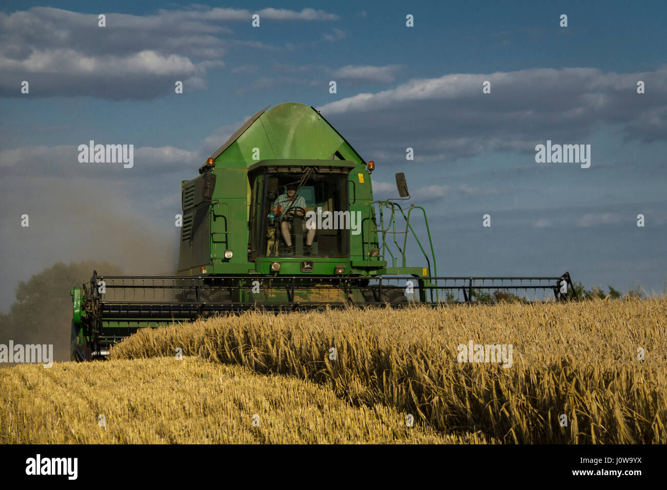 Combining the barley Stock Photo - Alamy