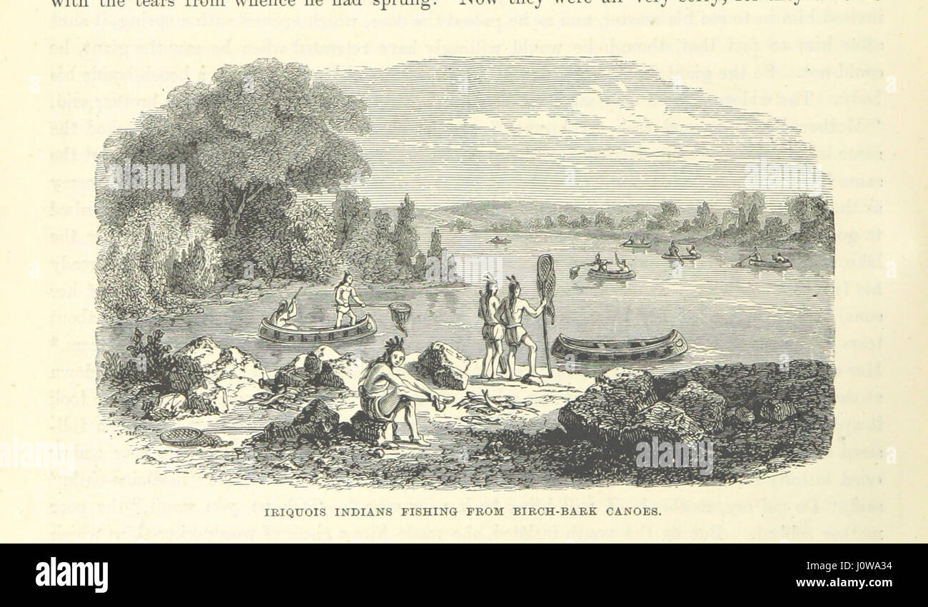 This work presents an accessible overview of human races, detailing the ...